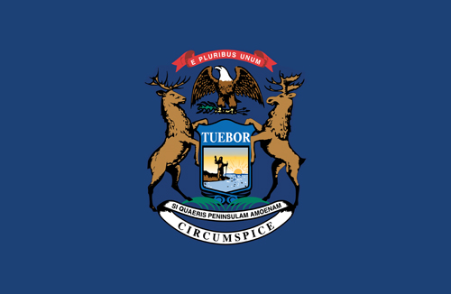 Let it fly!: The Flag of Michigan and the Michigan 24th