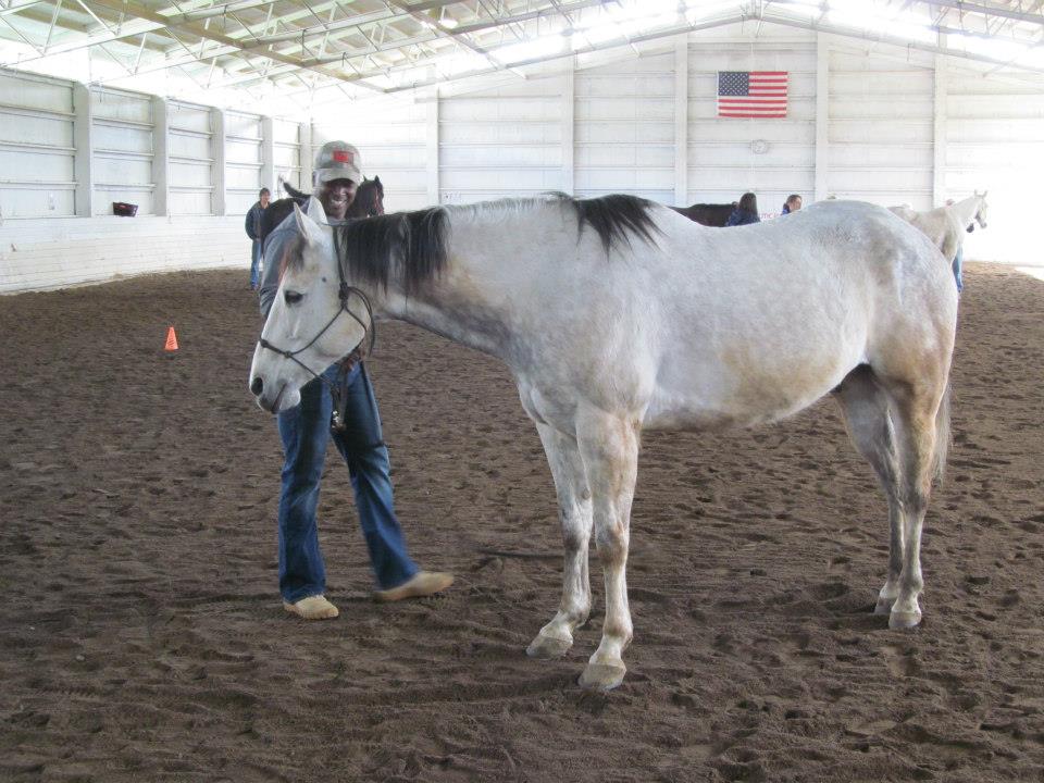 Buckaroo Leather Horse Tack, Use, Care and Maintenance: April 2013