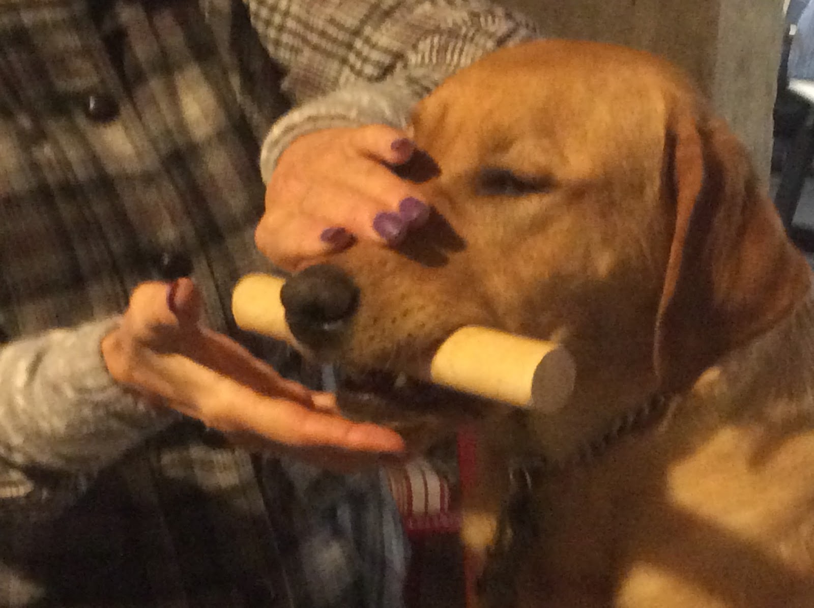 RTP Fall Into Retrieve 2022: Retrieve Course 2018 Lesson 1: The 'Fetch ...