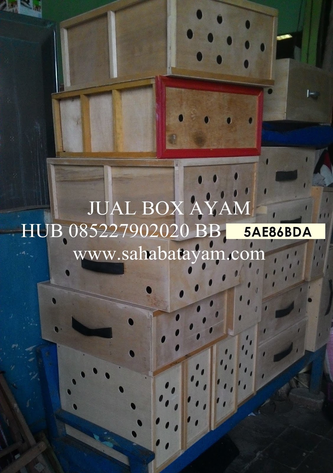 JUAL BOX PENGIRIMAN AYAM BANGKOK: Contoh box pengiriman ayam bangkok ...