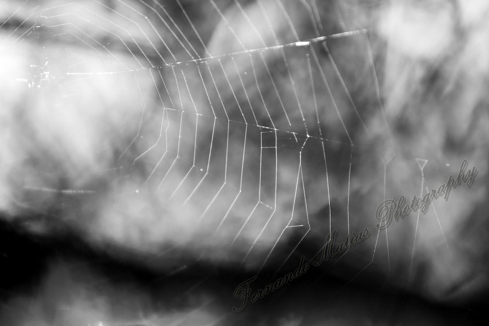 Fernando Matias Photography - Ottawa Ontario - Ottawa Wedding ...