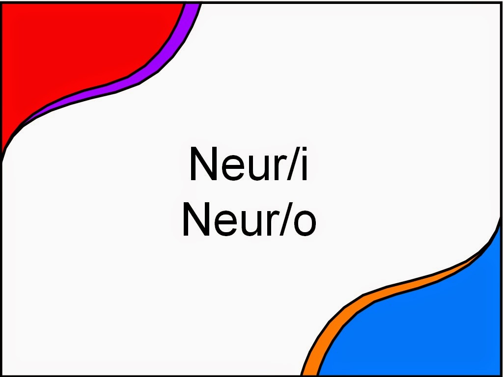 Student Survive 2 Thrive: Nervous System Common Word Parts Flash Cards