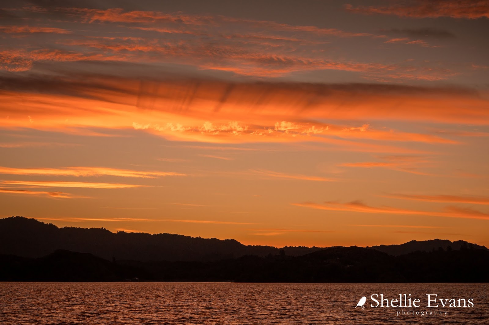 Two Go Tiki Touring: Perfect Puriri Bay- Part 1