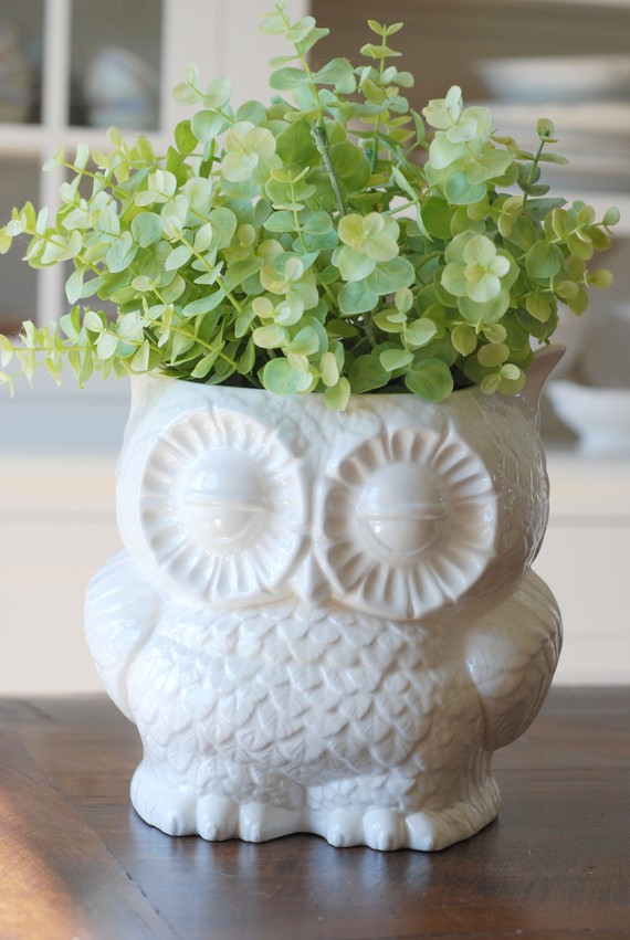 urban farmgirl: 2 chicks and a fancy owl...