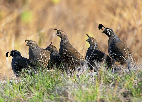 DiraElimu: Mkono wa Bwana!