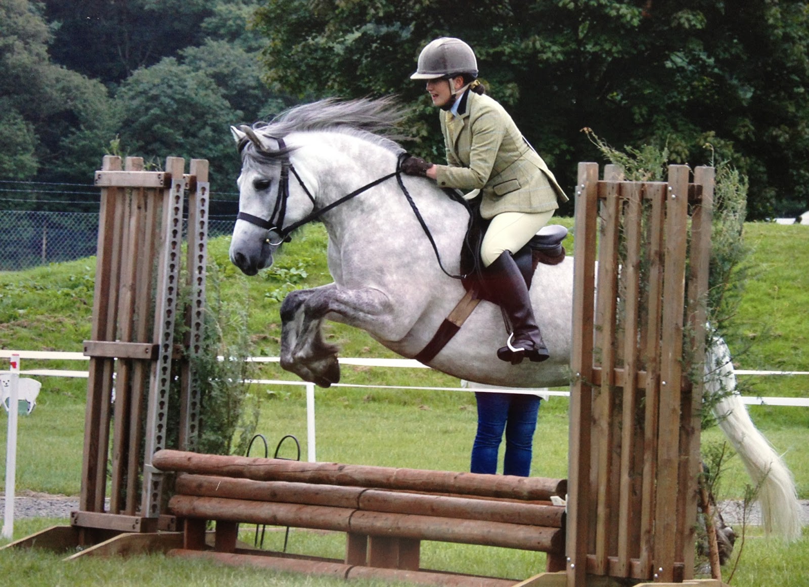 Horse Life and Love: Highland Ponies