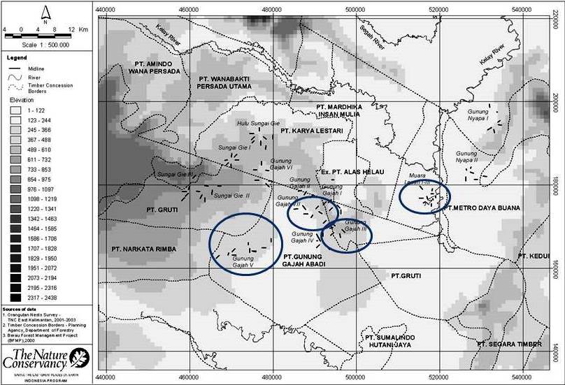 Pejalan Kaki: Ringkasan Tesis : Estimasi Populasi Orangutan (Pongo ...