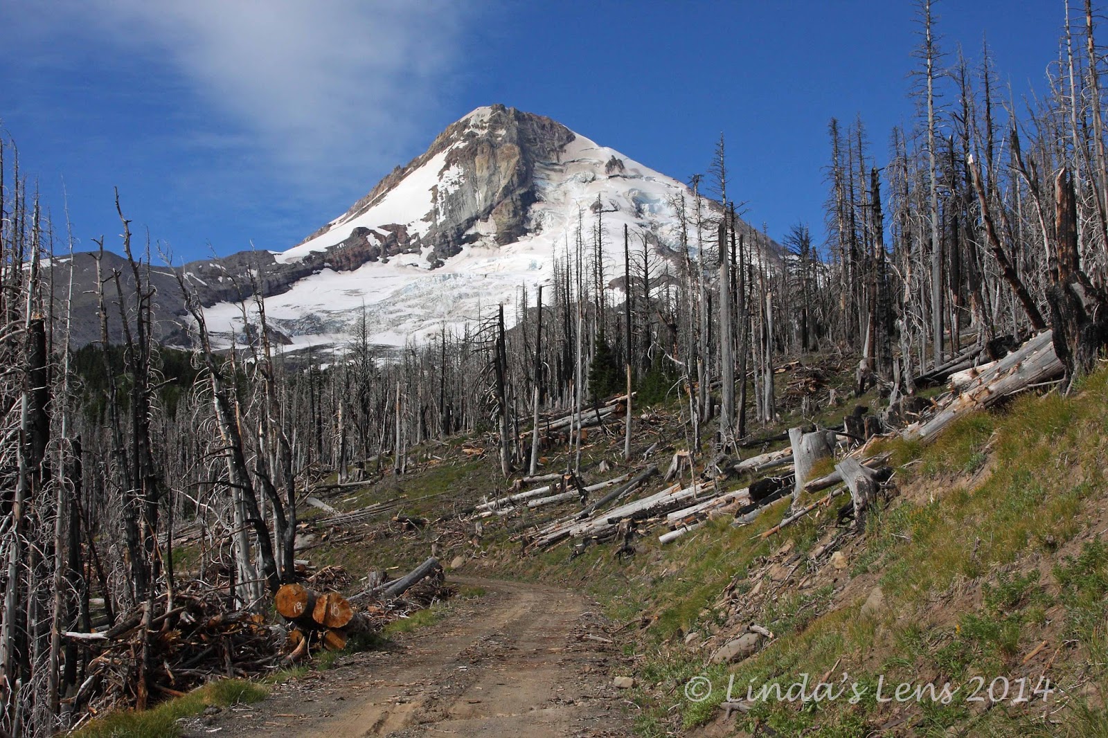 Linda's Lens: Cooper Spur