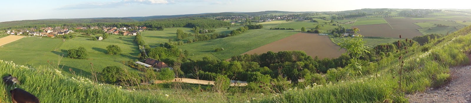 Life in Hamich: The rest of the story