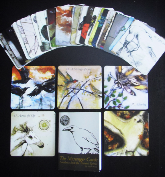 BOUTIQUE OF SPIRIT: FEATURE No.27: ANIMAL SPIRIT ORACLE BY RAVEN ...