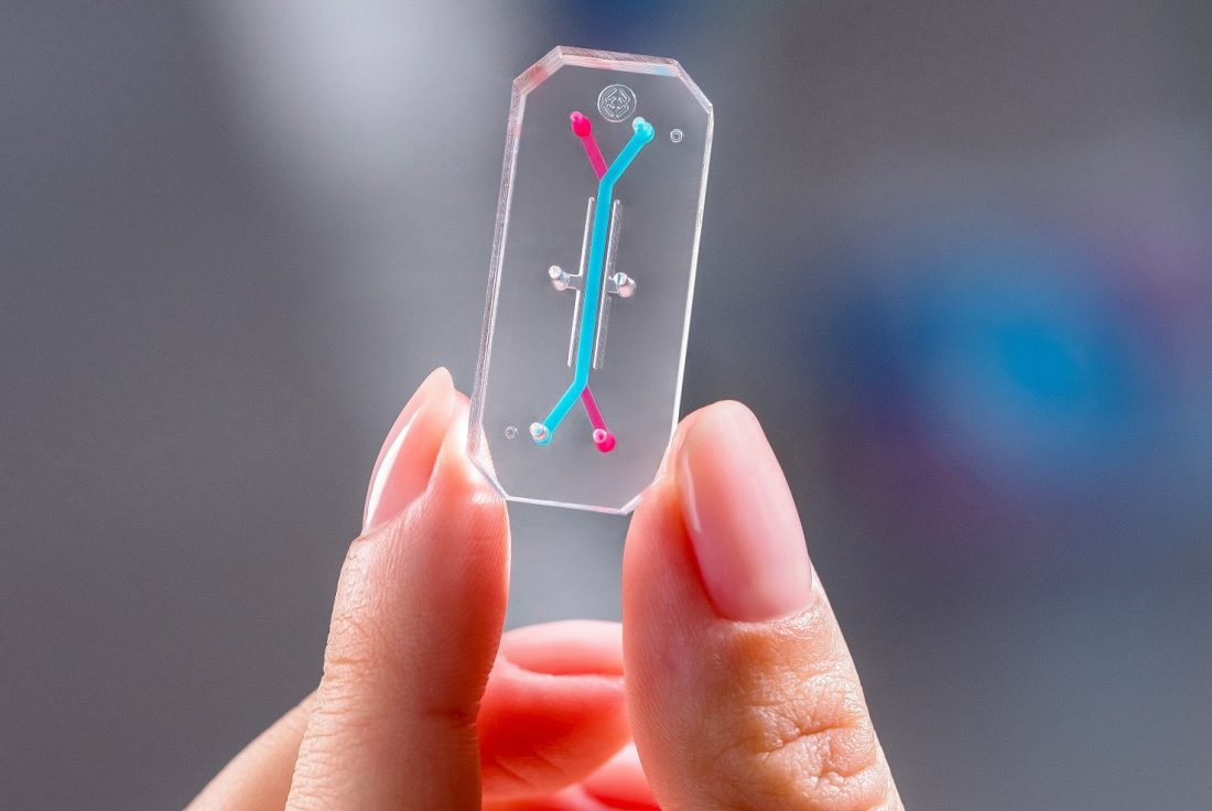 Pavel Boháček - autor : May 2017