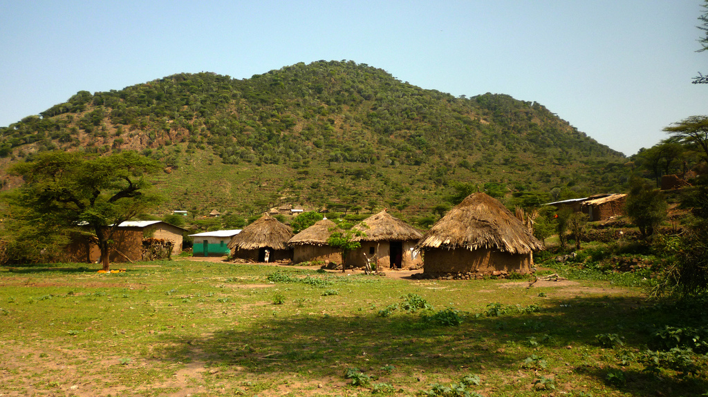 ኖቭ አስጎብኚ በኢትዮጵያ NOV tour & Travel Agents: Lake Zway or Lake Ziway is ...