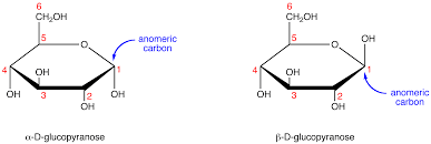 ISOMERS AND ISOMERISM