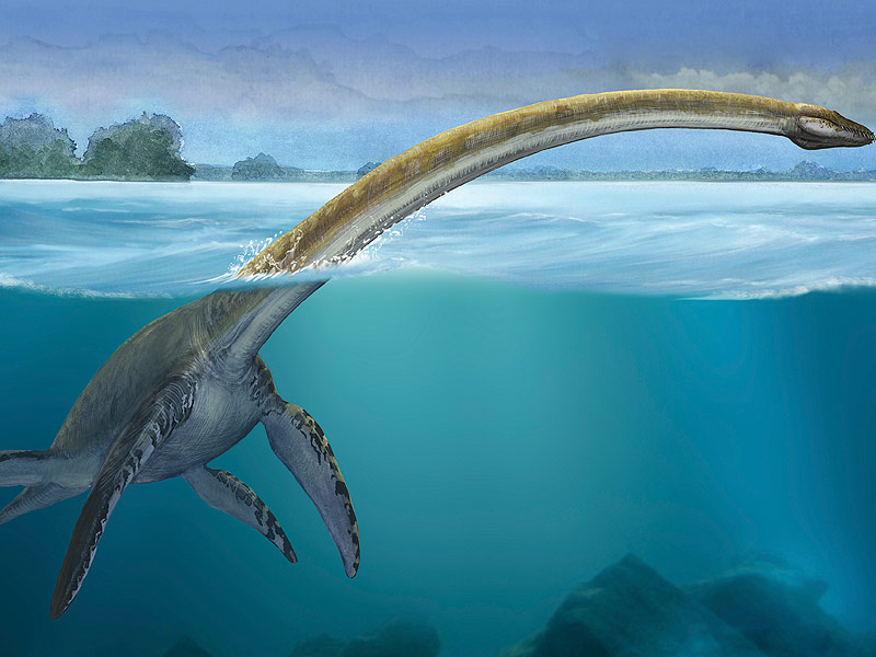 Kunstvaardig: Het Monster Van Loch Ness