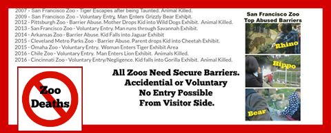Zoo Animal Safety: 2016