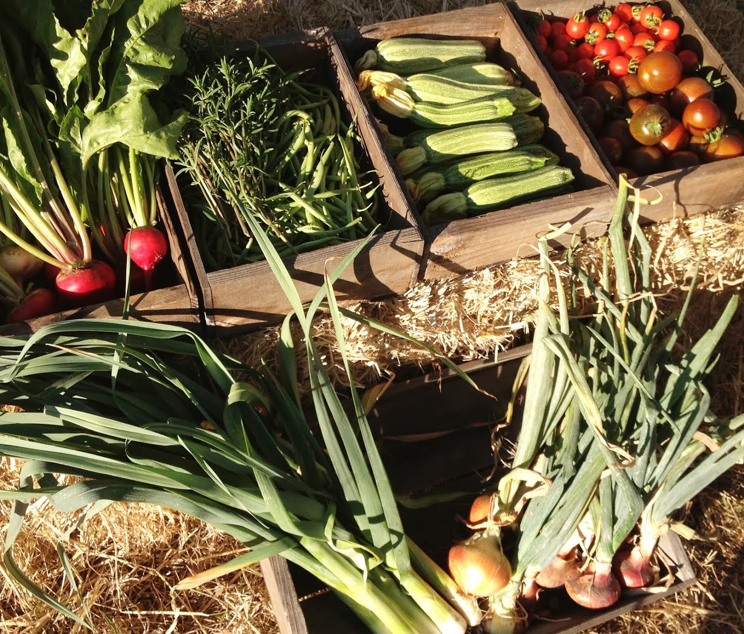 Feasting with Furlong Forest Farm: a meal: thanks for giving - so much ...