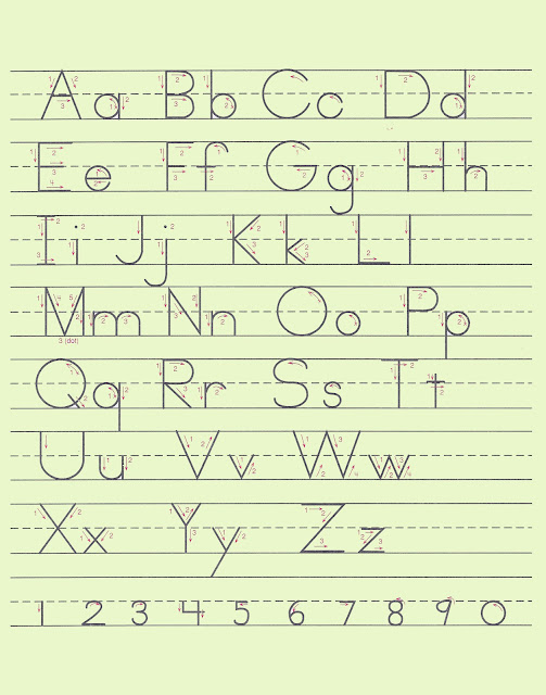 Willow of Wonder: our homeschool space