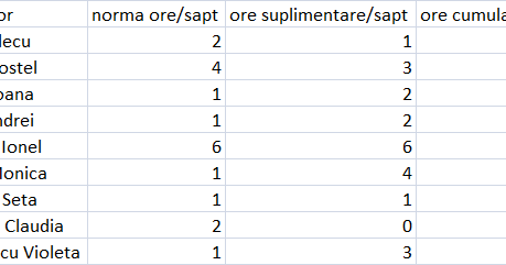 lectieticinfo: Filtrari Excel