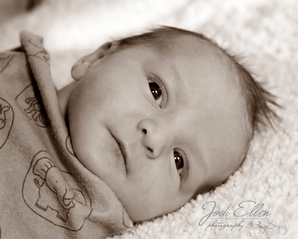 Jodi Ellen Photography: Beautiful Baby Boy, 1 Week Old