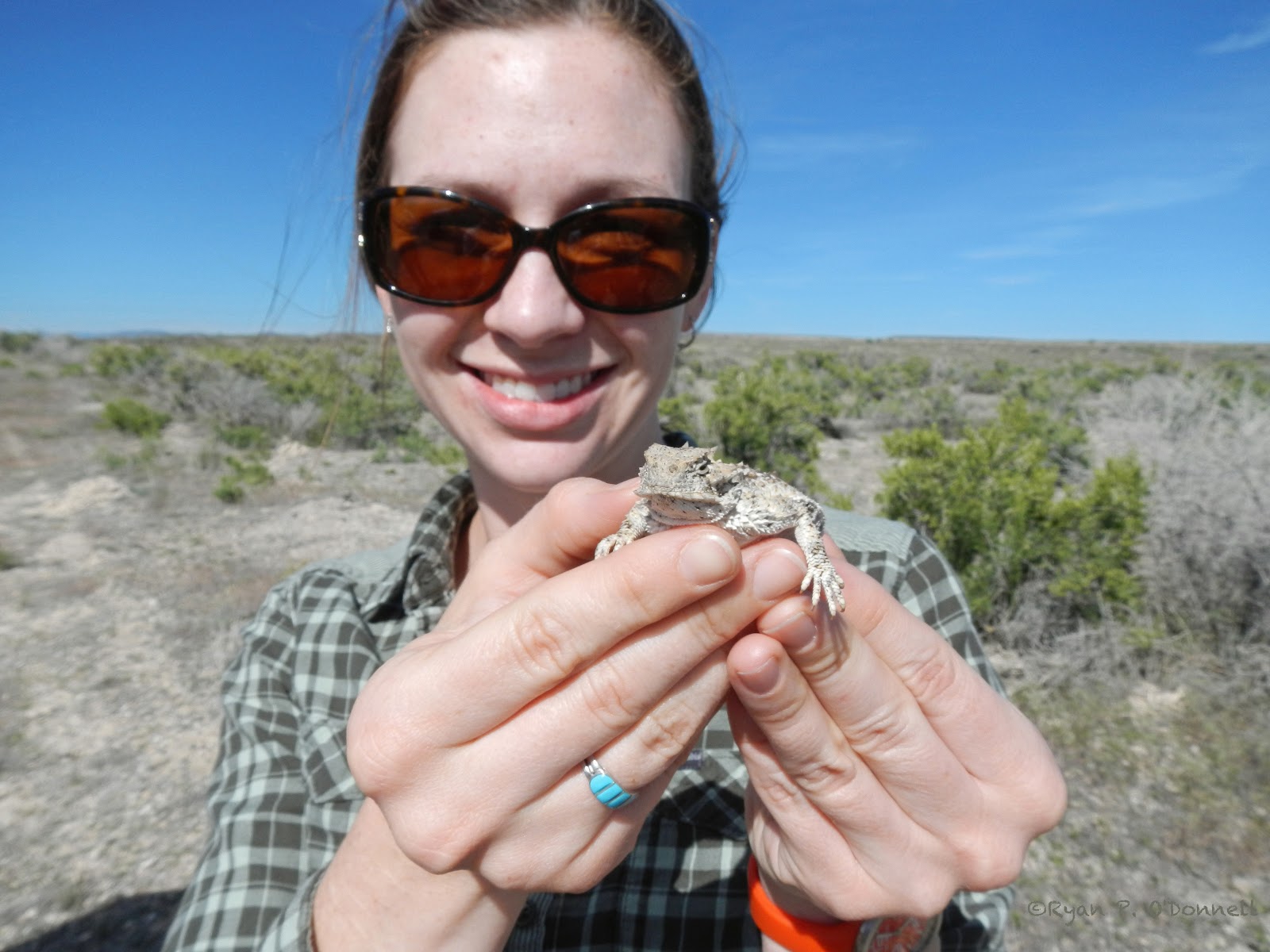 200 Birds: Utah's West Desert Migrant Traps