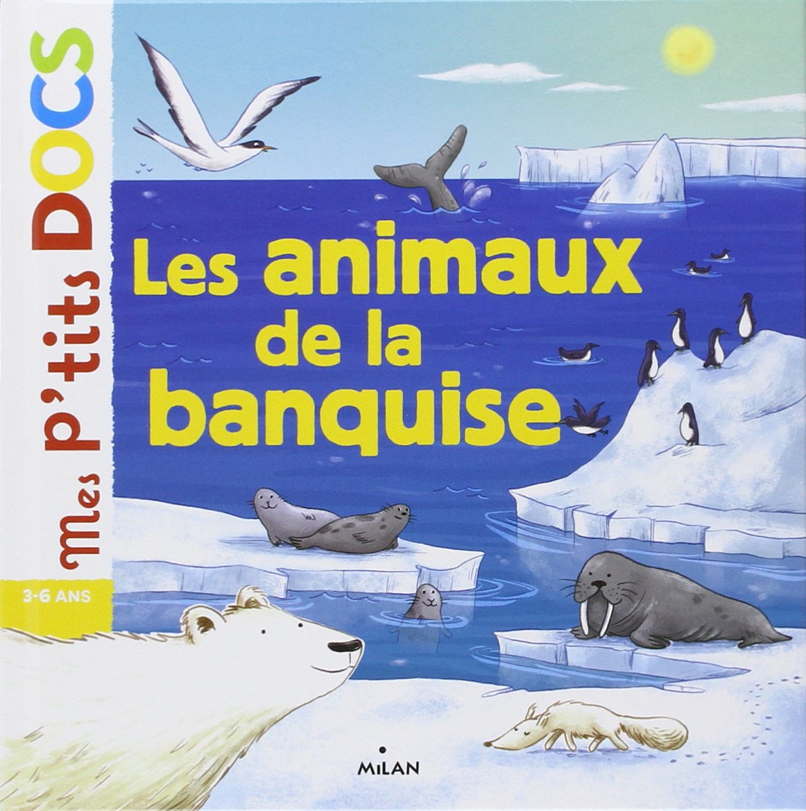 French Vocabulary Illustrated: banquise