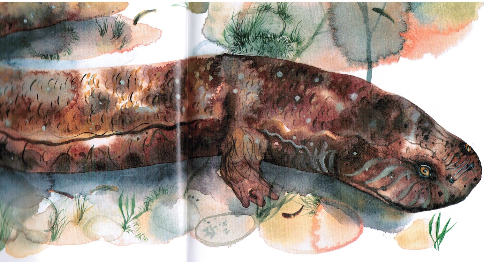 Pictures from an Old Book: "Dragon Mountain" Story and Illustrations by ...