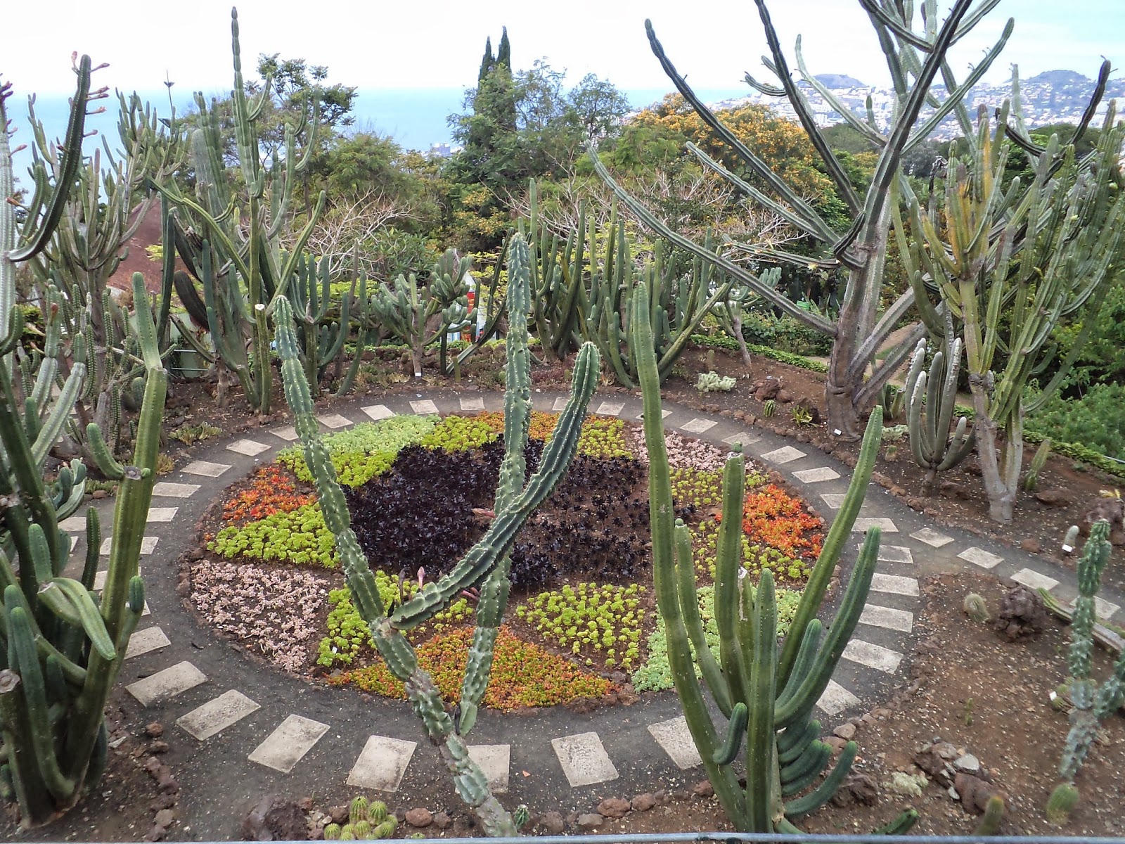 Life and Nature RO: Minunata Grădină Botanică din Funchal, Madeira