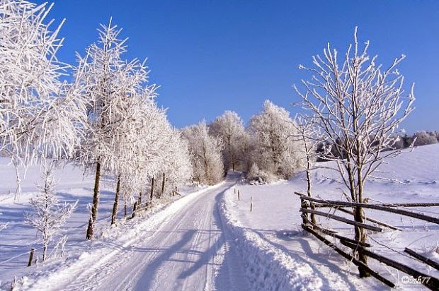 Hu hu ha Hu hu ha nasza zima zła!!! ~ Motoświstak