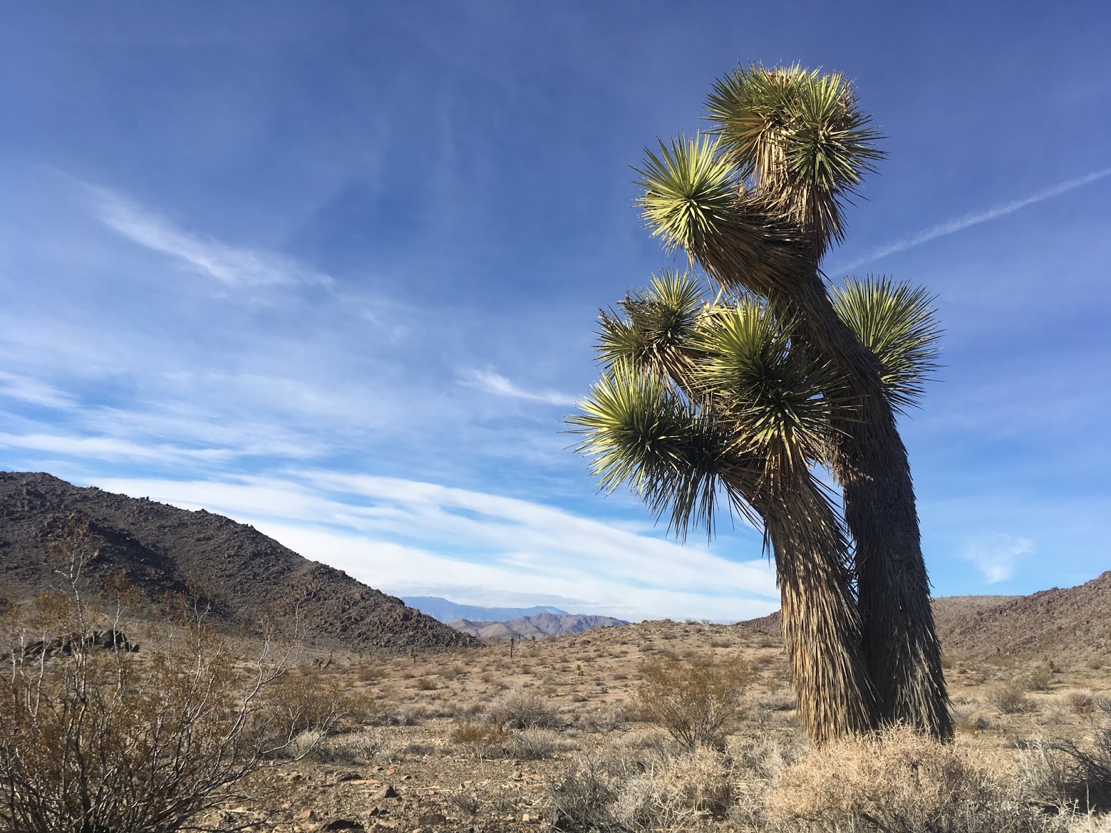 such stuff as dreams are made on