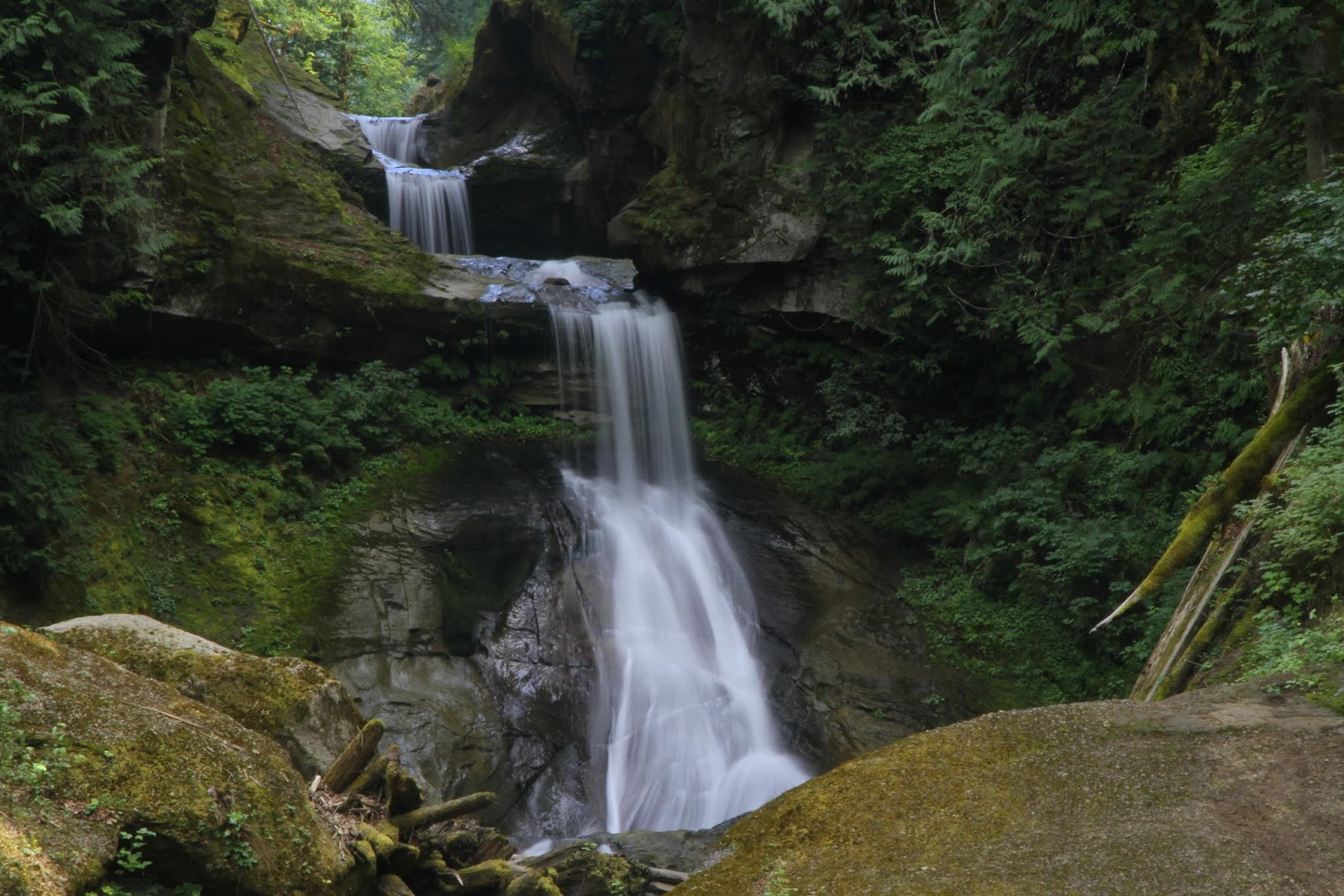 Serendipity and Orchids: Slide Mountain and Racehorse Falls