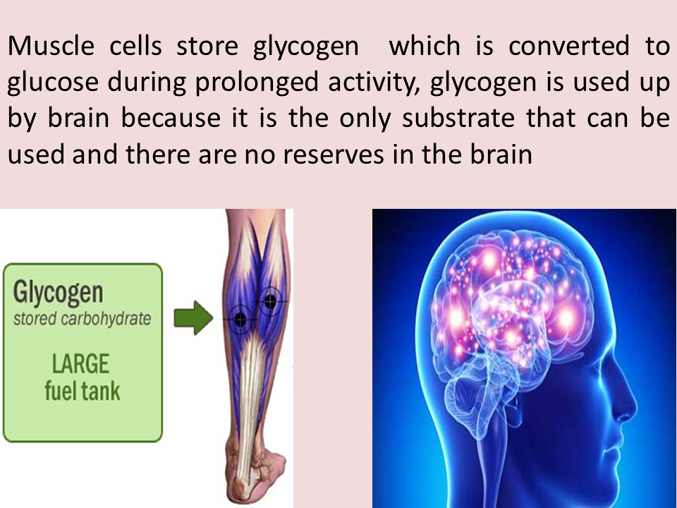Grade 12: Chapter 3 - HOMEOSTASIS