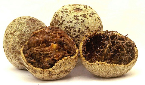 The Earth of India: All About Wood Apple Fruit