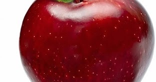 Ocracoke Island Journal: Salt Water Apples