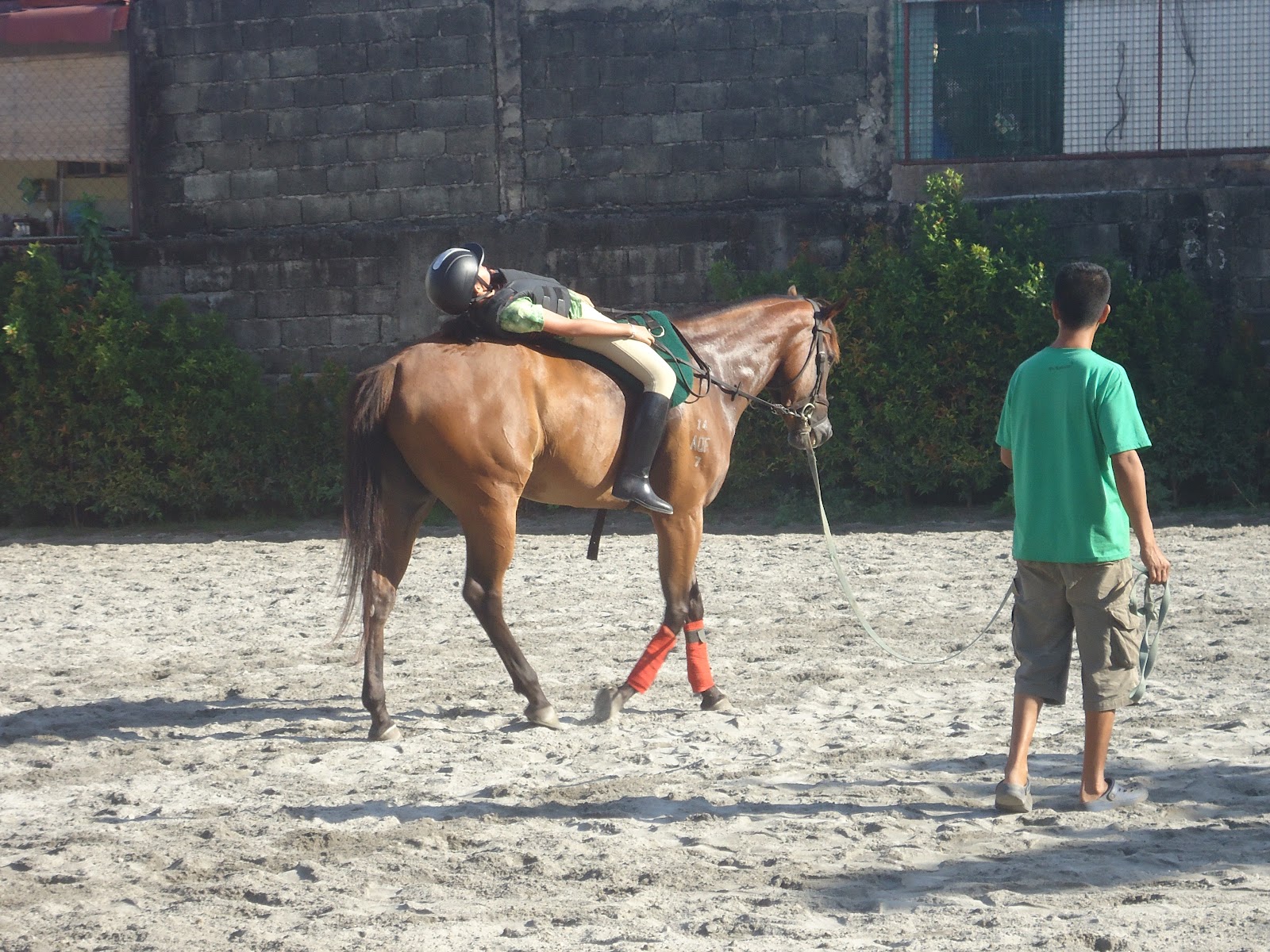 Horse Riding Philippines: Developing Balance on a Horse : Yana's ...