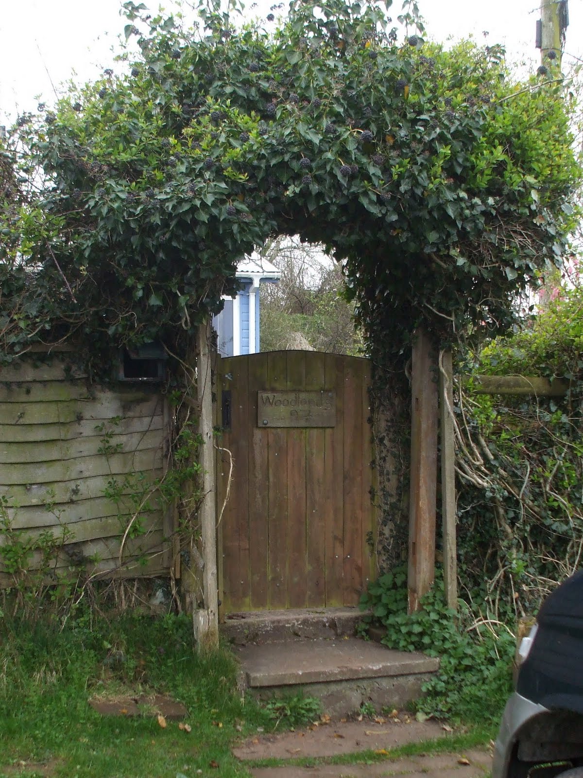 Sandy Lane, Pennard, Gower. Thoughts From My Heart: THE GATES OF SANDY ...