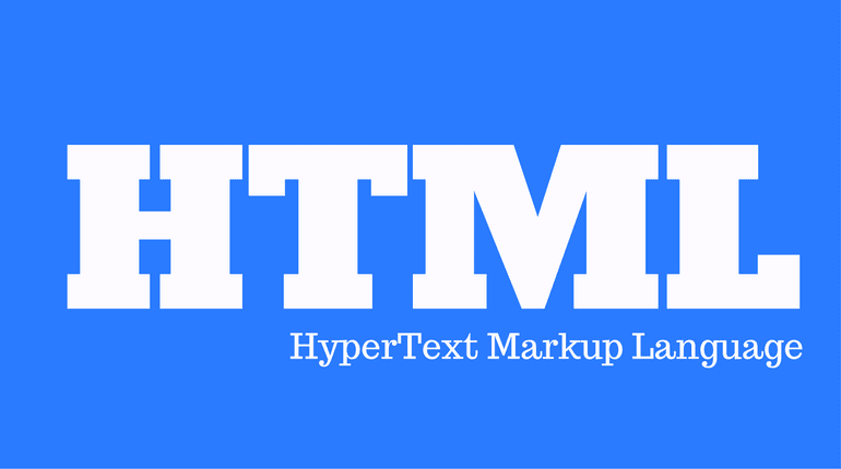 Jenis-jenis Input Pada HTML | LincungTai