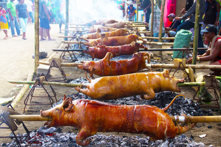 Living with Nature - School on Blog by Dr. Abercio V. Rotor: Lechón ...