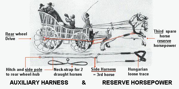 History of The Coach