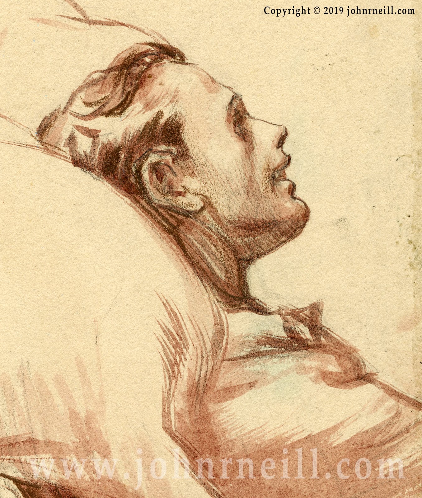 The John R. Neill Collection: 2019