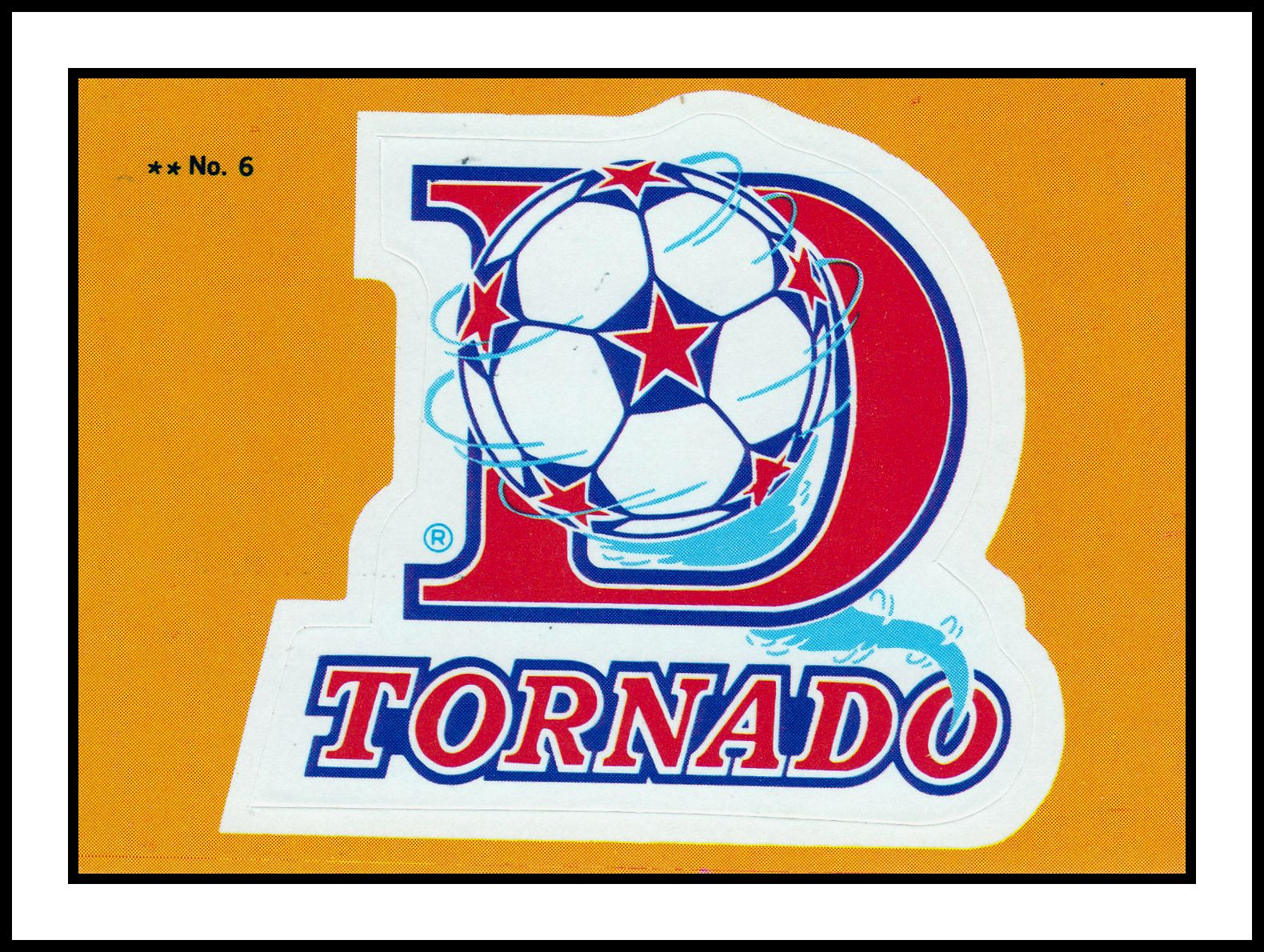 NORTH AMERICAN SOCCER LEAGUE: TOPPS NASL STICKER #6, 1979