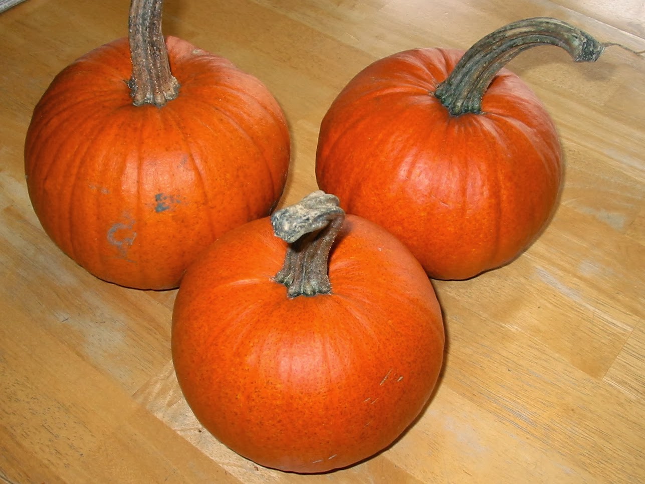 Fitzgerald's Family Farm: How To Make Pumpkin Puree and a Pumpkin Bread ...