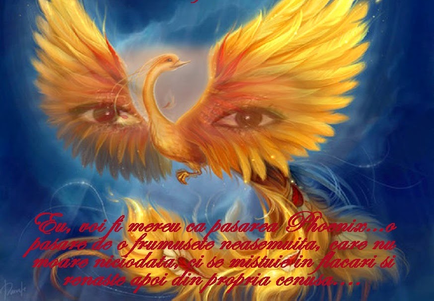 Magia stă în noi: O mica pasare Pheonix
