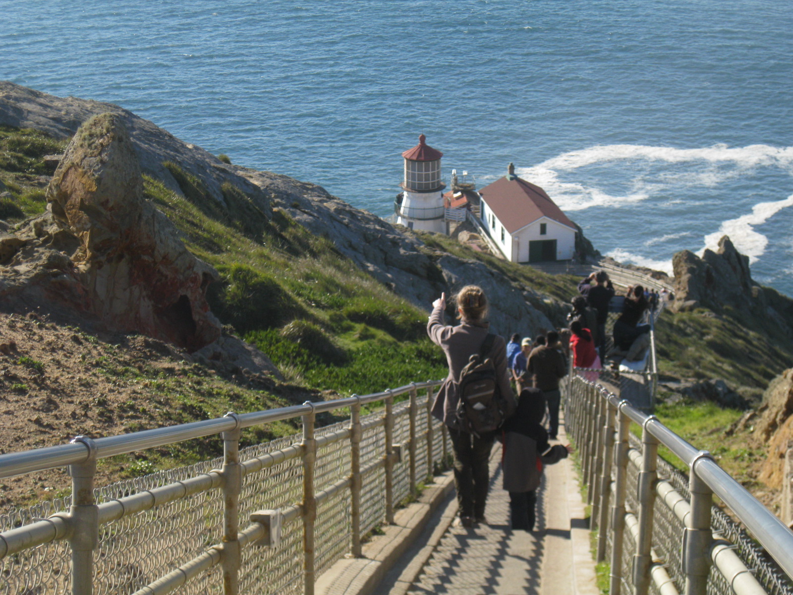 Foothill Marmots at Point Reyes: Point Reyes Lighthouse, January 1, 2013