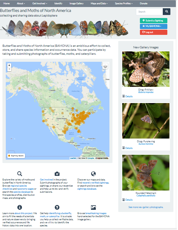 Did you know that this week (July 22-30th) is National Moth Week?