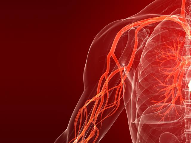 BLOG ENCONTRO COM A SAÚDE DE SOBRAL: Origem e importância da Angiologia