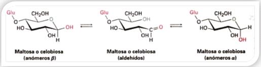 Estructura De La Celobiosa