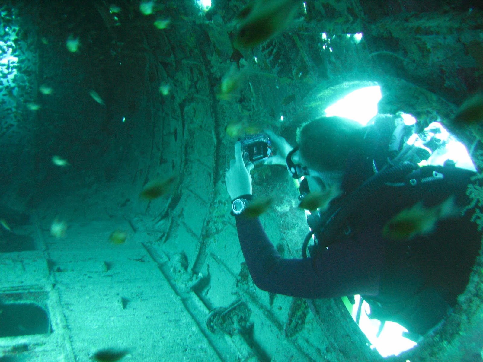 Encore: The Ghost Fleet of Chuuk Lagoon