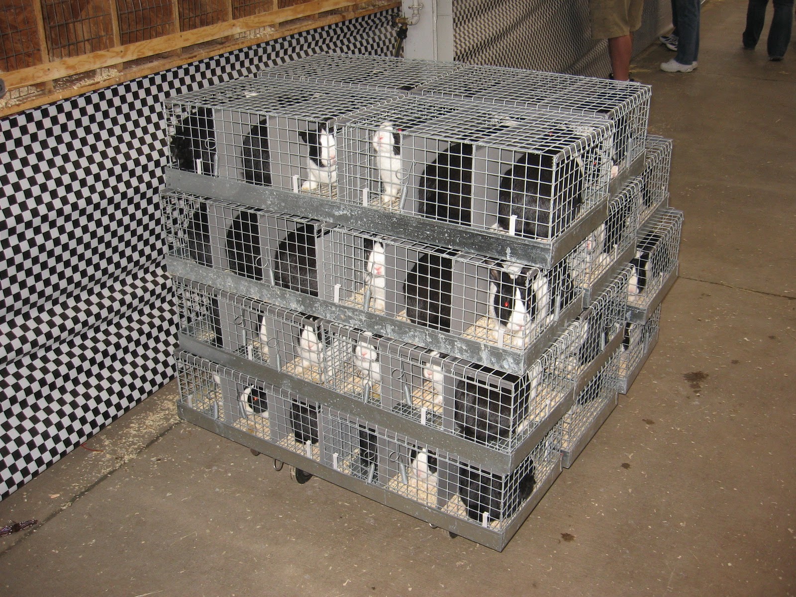 KIRKLAND ACRES RABBITRY AND FARM