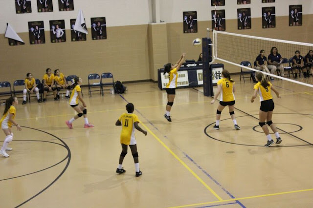 VOLLEYBALL ZONES AND AREAS