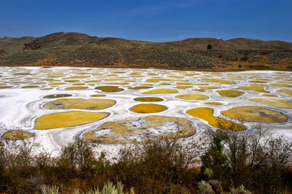 JORNAL PONTO COM: Spotted Lake, o Lago Manchado – Canadá